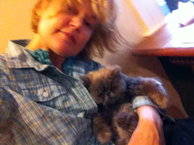 Dialogues on Disability: Shelley Tremain Interviews Kelly Oliver ...